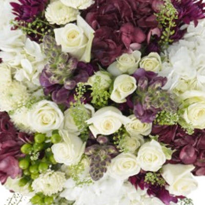 Royal – H-E-B Blooms Event Collection